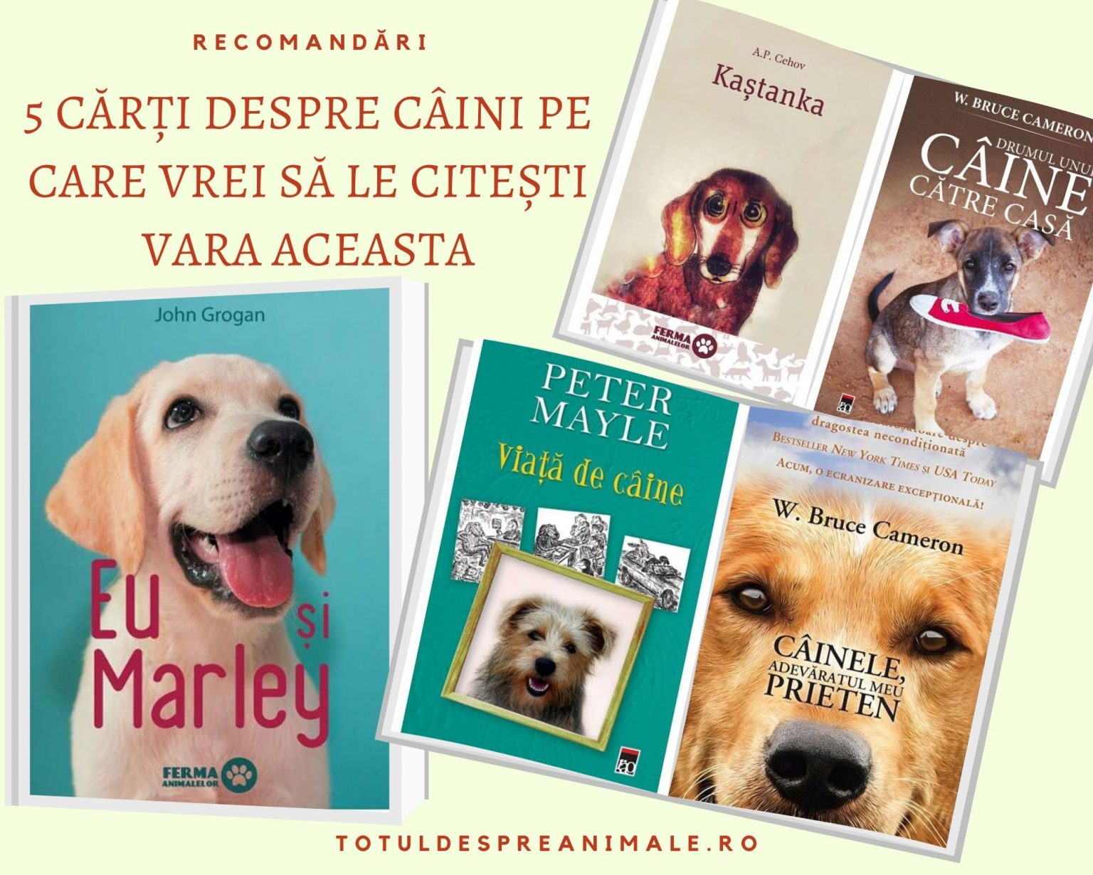 5 cărți despre CÂINI pe care vrei să le citești vara aceasta - Totul ...